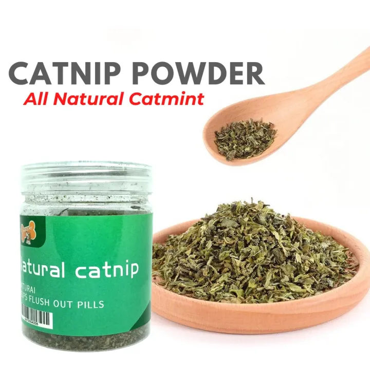 All Natural Catnip for Cats Cat Dried Leaves 100% Pure Catnip in Jar ... All Natural Catnip for Cats Cat Dried Leaves 100% Pure Catnip in Jar ...