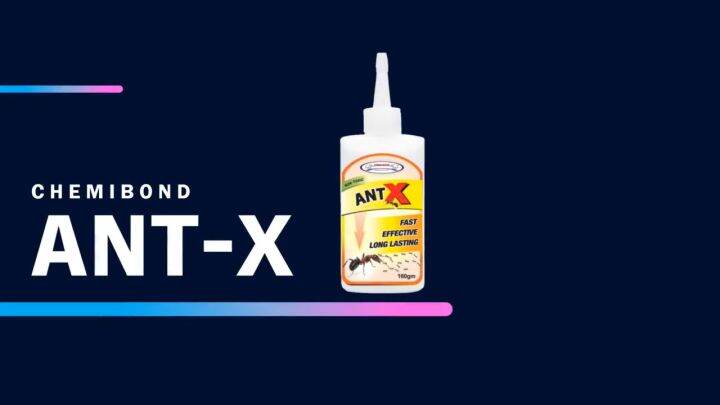 CHEMIBOND Ant-X 160gm Racun Semut Human Safe Ant Terminator All Common ...