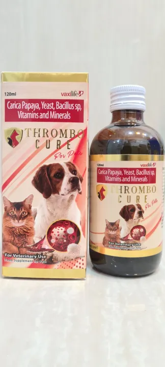THROMBOCURE SYRUP FOR PETS 120ML | Lazada PH