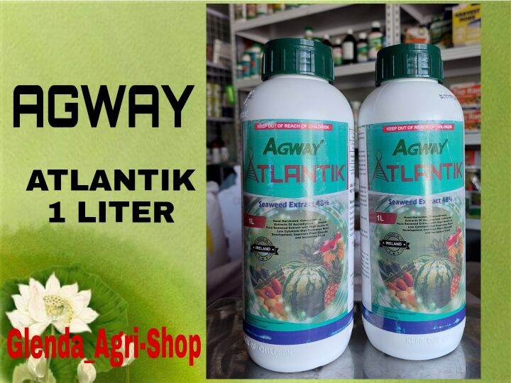 AGWAY ATLANTIK FERTILIZER ( 1 LITER ) | Lazada PH