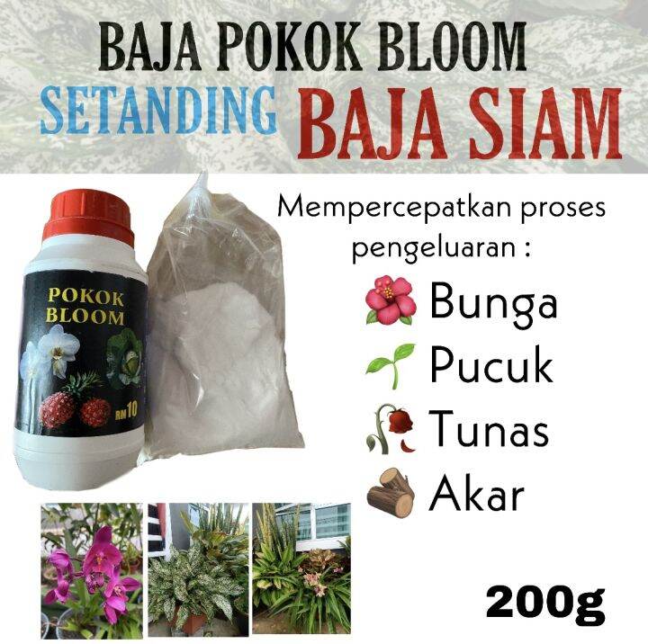 Baja Bloom Pokok Bloom penggalak bunga,pucuk,tunas dan akar baja pokok ...