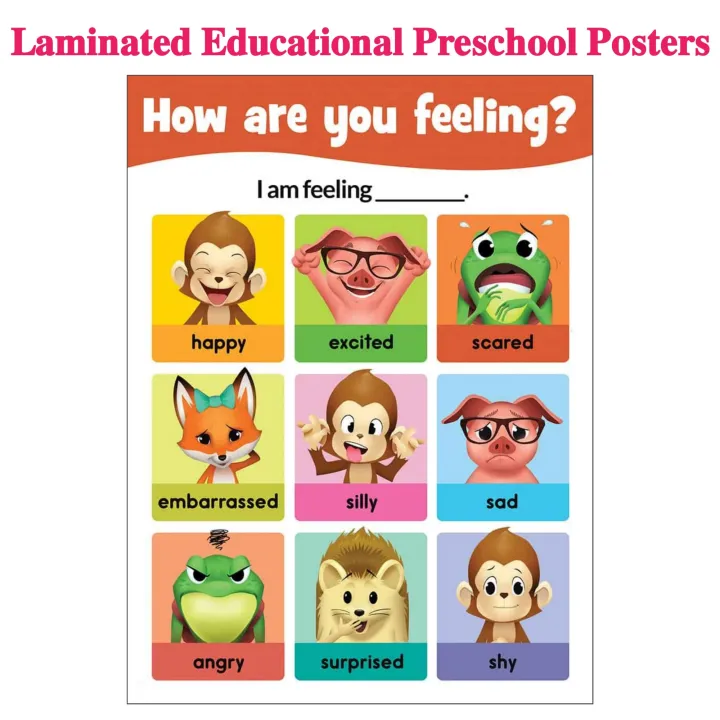 EMOTIONS A4 Size Laminated Educational Preschool Poster, Kids Learning ...