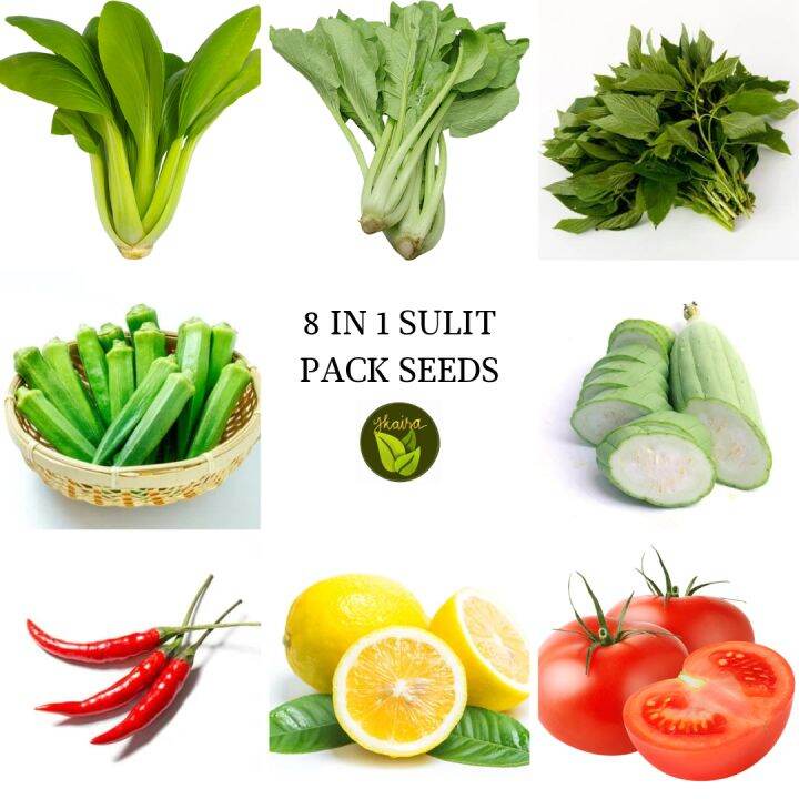 binhi ng gulay seeds for planting all 8 in 1 pack outdoor garden plant ...
