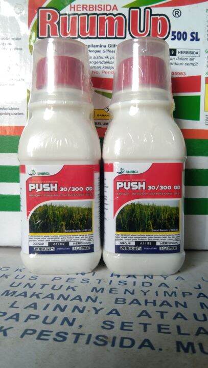 Herbisida Push 30/300 OD // Herbisida Selektif padi 100 ML | Lazada ...