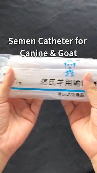 10 pcs Artificial Insemination Rods Catheter for Dog Goat Insemination ...