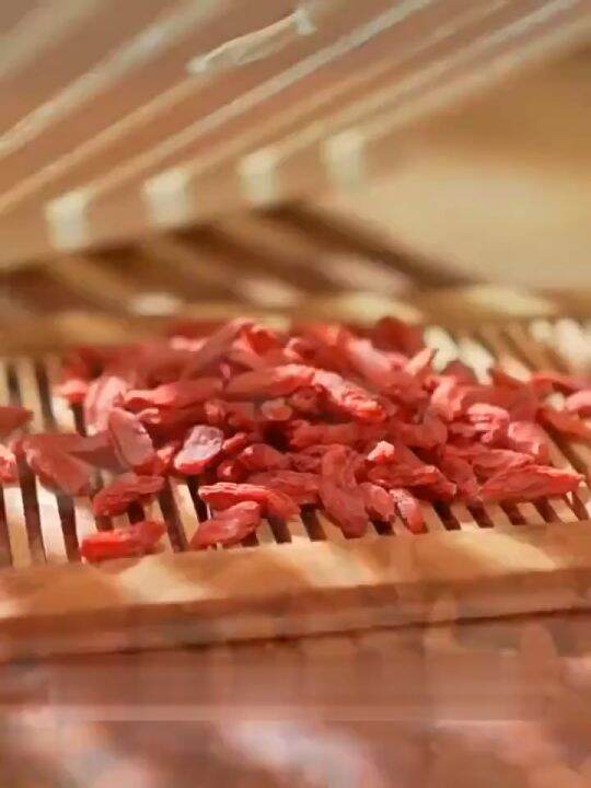 TÚI 1KG KỶ TỬ ĐỎ TƯƠI TO NINH HẠ - LOẠI NGON | Lazada.vn