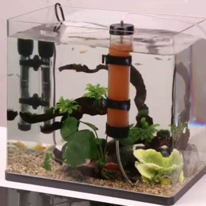 Brine Shrimp Artemia Hatching Set Incubator stand Bottle, Artemia ...