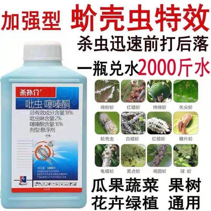 Imidacloprid buprofezin scale insect pest worm shell decongestion ...