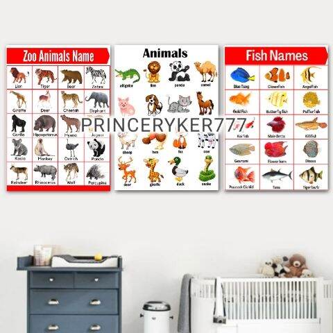 ANIMALS Chart - A4 Size - Laminated Wall Chart - Educational Learning ...