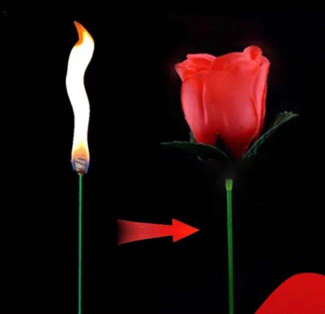 LeadingStar RC Authentic Novelty Torch to Rose Magic Trick Fire Flame ...
