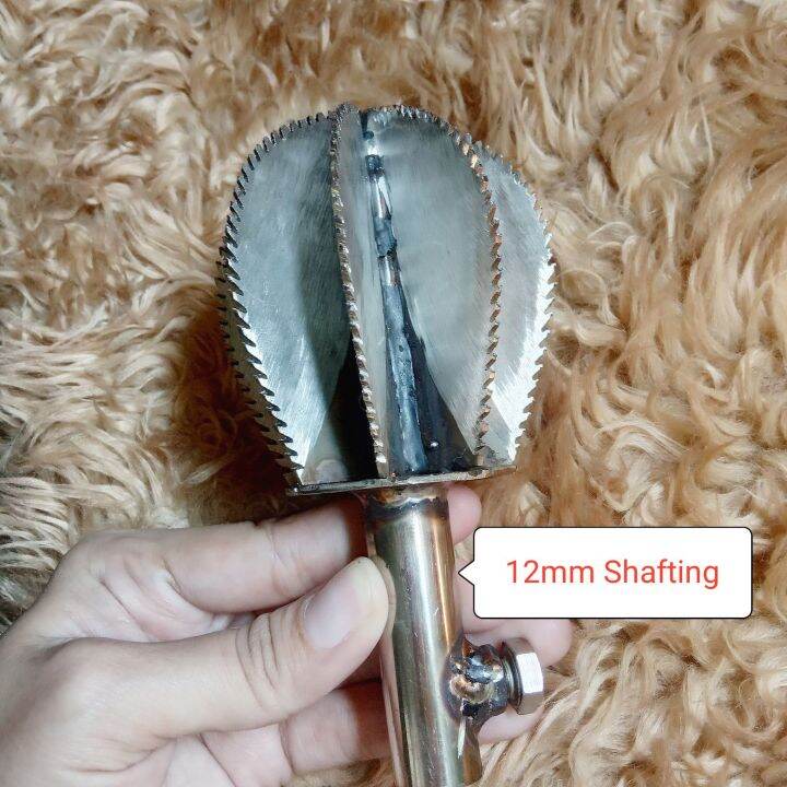 Coconut Grater Blade 12mm 100% Pure Stainless | Lazada PH