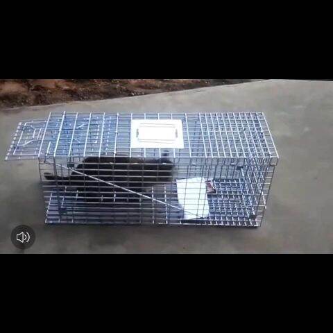 【Big Size】 wild cat trap Foldable cage cat house for travel and wild ...