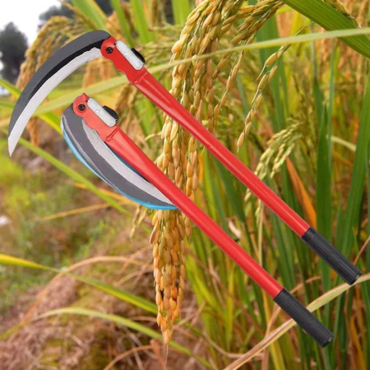 SABIT ATAU ARIT RUMPUT KLS MADE IN MALAYSIA | Lazada Indonesia