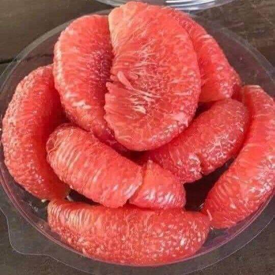 Pokok Limau Bali Isi Merah (tut) | Lazada