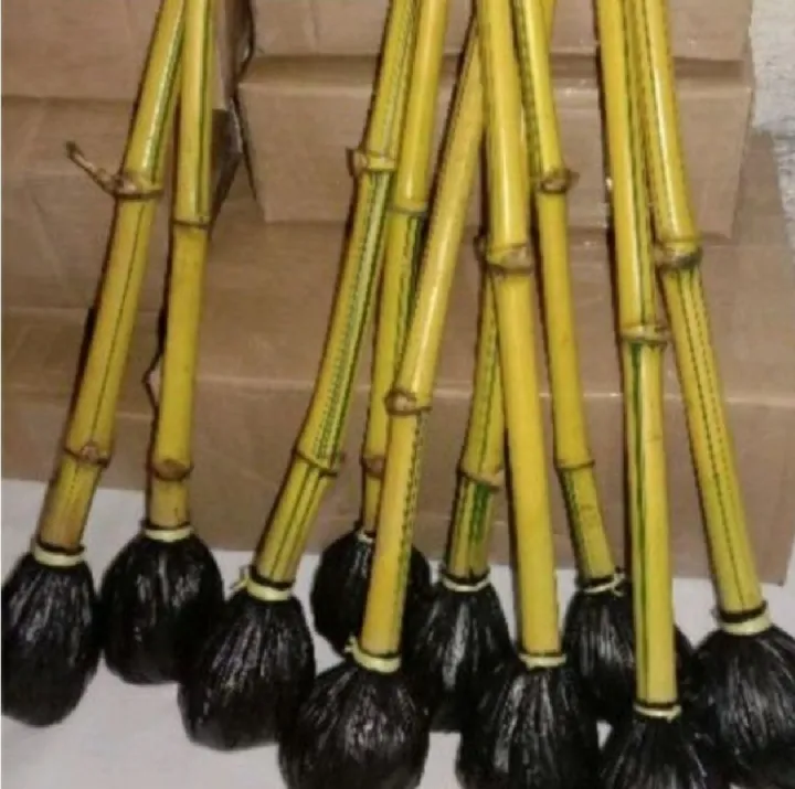 Bambu kuning tanaman bambu kuning terbaik | Lazada Indonesia