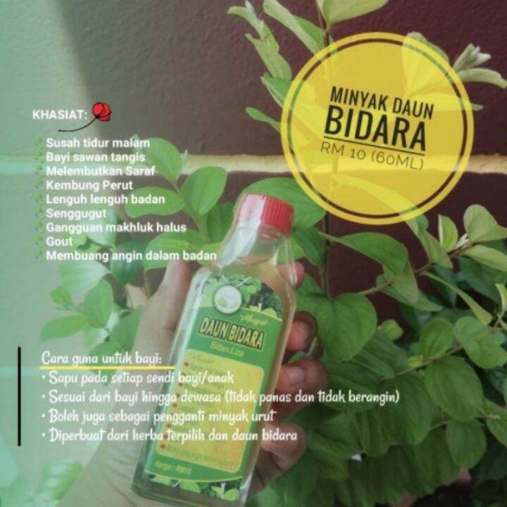 MINYAK DAUN BIDARA BIDAN LIZA 60ML + FREE 🎁 | Lazada