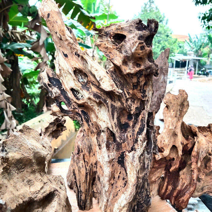 Hiasan Aquarium Kayu Rentek Aquascape Kayu Original | Lazada Indonesia