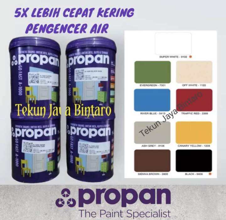 Propan Go Fast A 1000 Cat Kayu & Besi Water Based Gofast Ready mix 1Kg ...