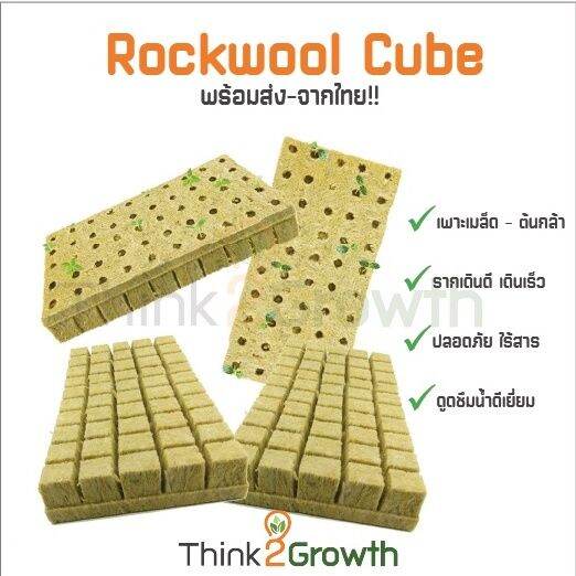 พร้อมส่ง (ยกแผง) Rockwool Cube วัสดุปลูก ที่นิยมสำหรับผู้ปลูกแบบไฮโดรโปนิกส์ | Lazada.co.th