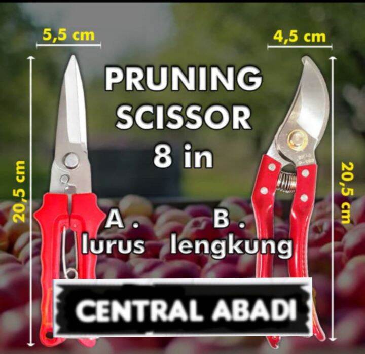 Gunting Dahan Tanaman 8 INCH MULTIFUNGSI | Lazada Indonesia