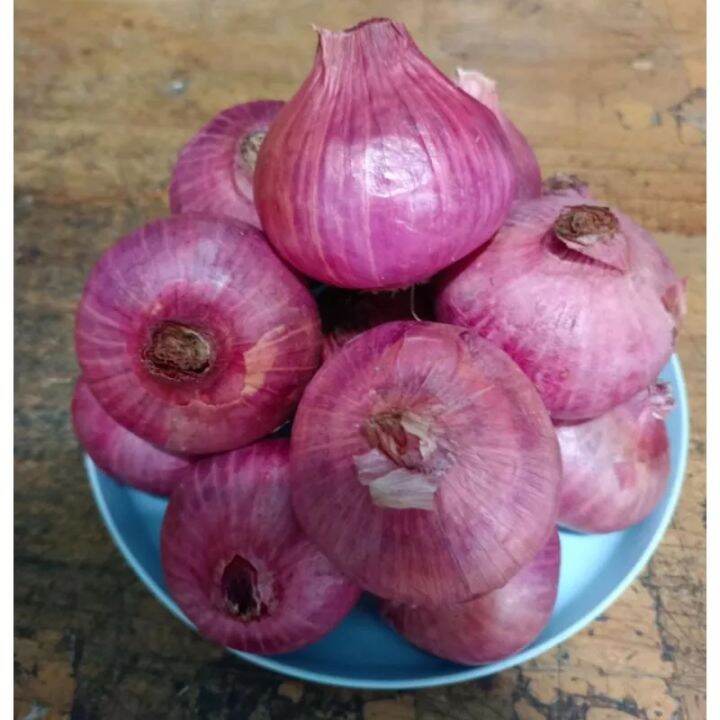 Bawang Merah Peking India 500 Gram Berat Bersih Fresh ukuran cukup ...
