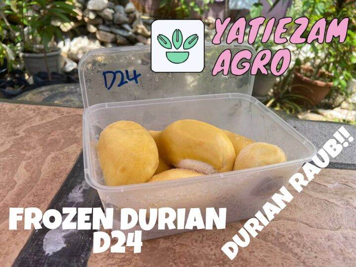 Frozen Durian D24 500g (Durian Raub) RM35/Pack | Lazada