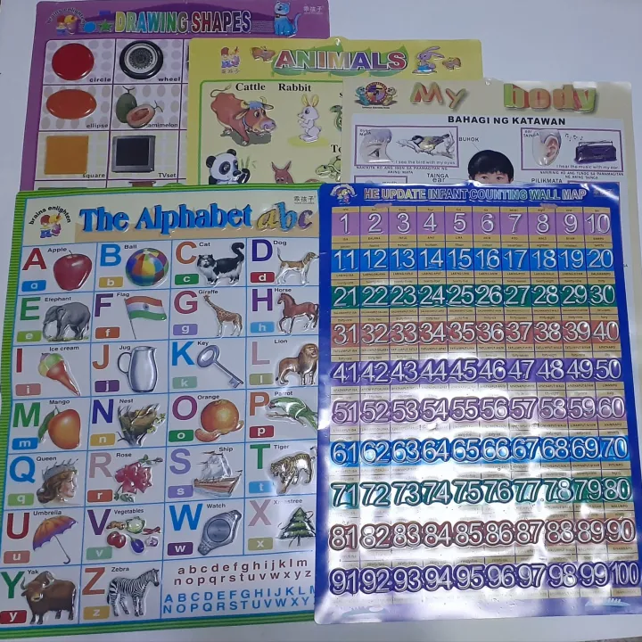 Embossed Charts Set of 5 | Lazada PH