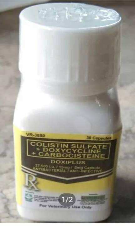 DOXIPLUS (30 pcs/btl) Gamot sa One Eye Cold at sipon ng kalapati ...