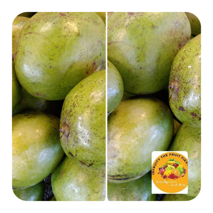 Injan Mango(Crunchy & Fresh)(₱560 for 1kilos) | Lazada PH