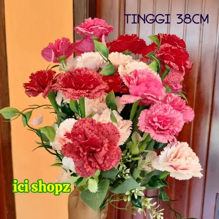 Bunga Anyelir jumbo X7 | Lazada Indonesia