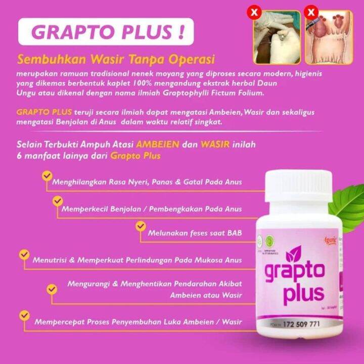 Grapto Plus Original | Lazada Indonesia