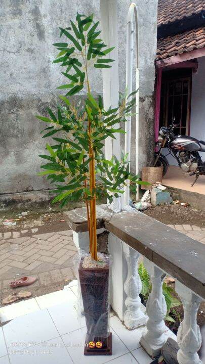 Bunga hias artificial bambu jumbo | Lazada Indonesia