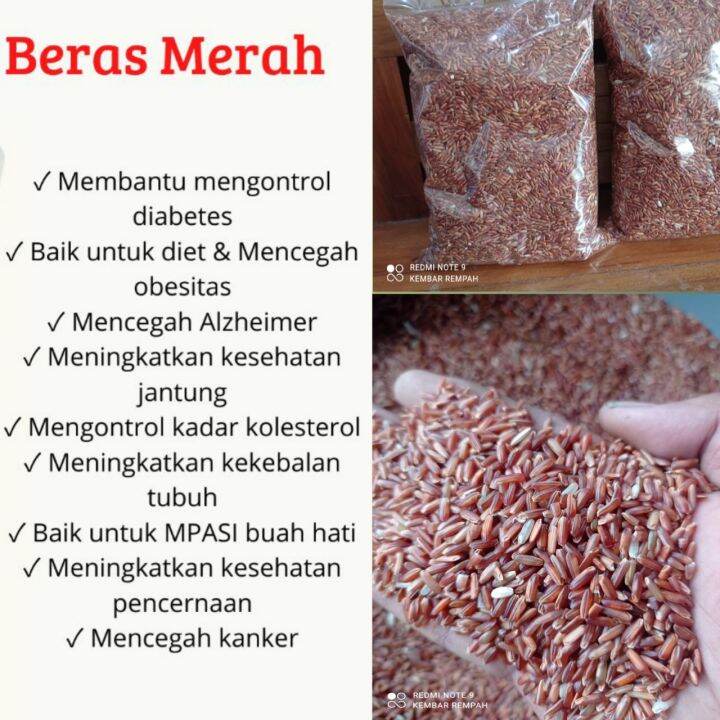 Beras merah premium 1kg | Lazada Indonesia