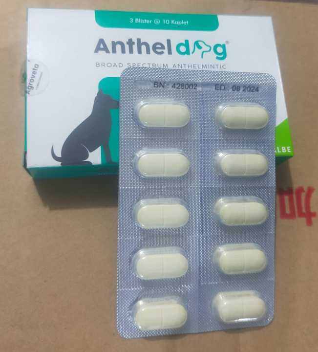 Anthel Dog Obat Cacing Anjing Per 1tablet | Lazada Indonesia