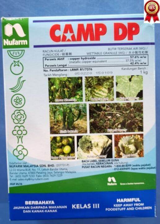 CAMP DP RACUN KULAT 1KG | Lazada