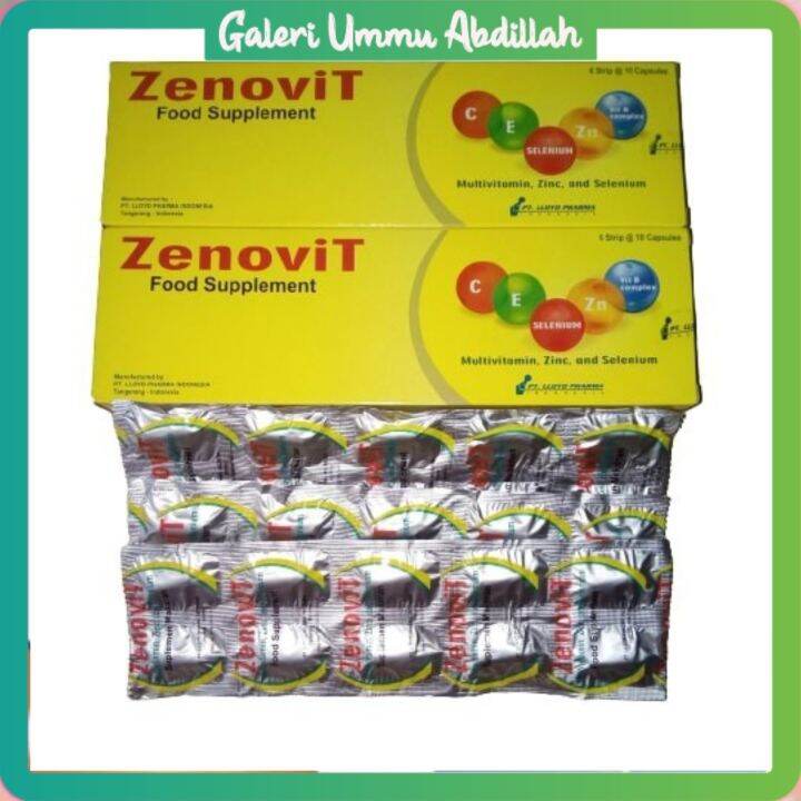 ZENOVIT Multivitamin dan Zinc Isi 60 Kapsul Suplemen Kesehatan | Lazada ...