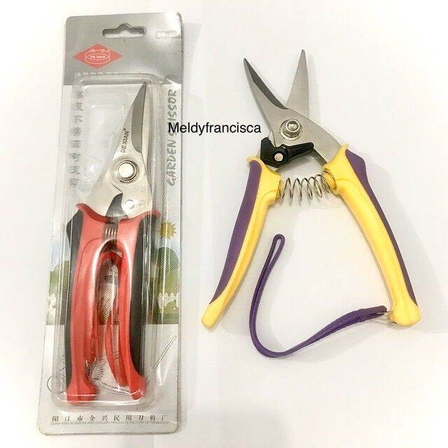 Gunting plat max 0,5mm / gunting ranting / gunting tulang ( garden ...