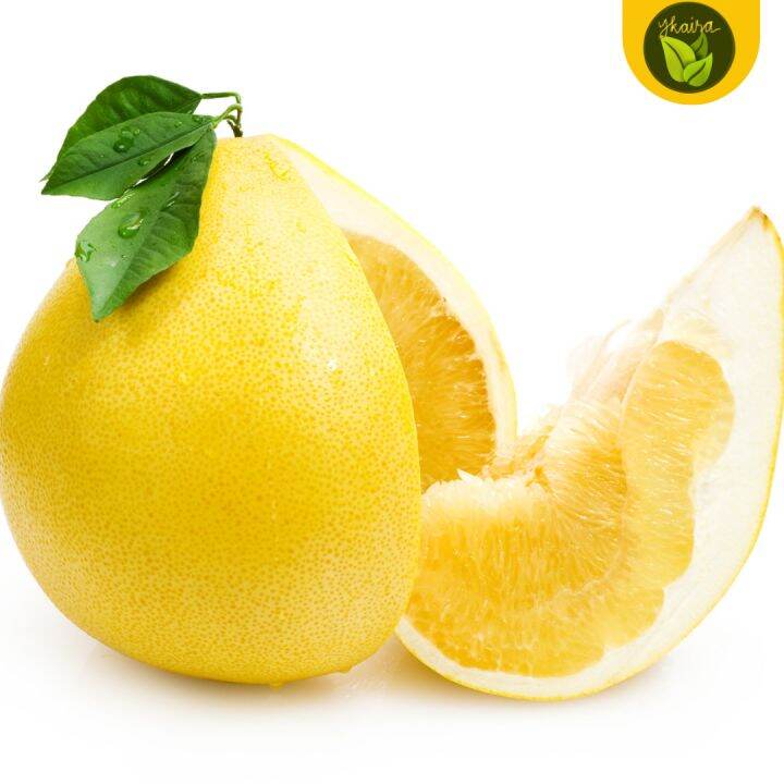 Binhi Pantanim Suha Pomelo 5 Seeds for Planting | Lazada PH