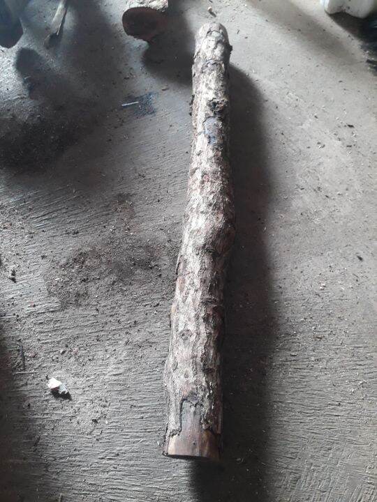 bahan kayu stigi panjang 1.meter | Lazada Indonesia