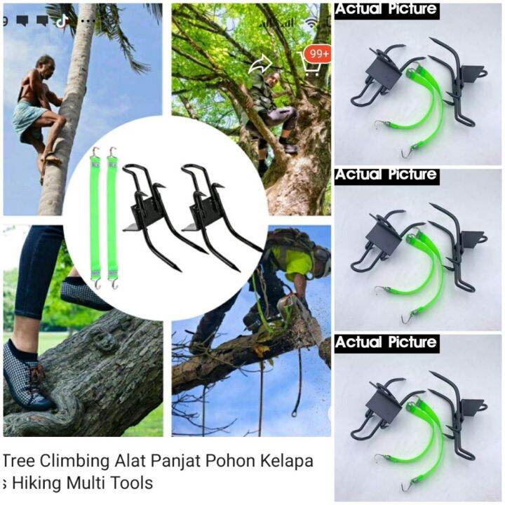 ALAT PANJAT POHON | Lazada Indonesia