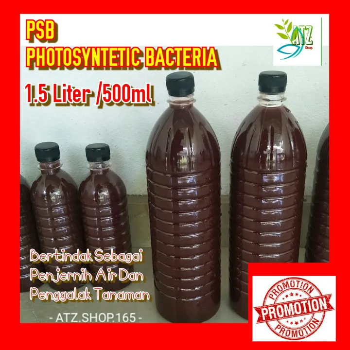 PSB Photosyntetic Bacteria 500ml | Lazada