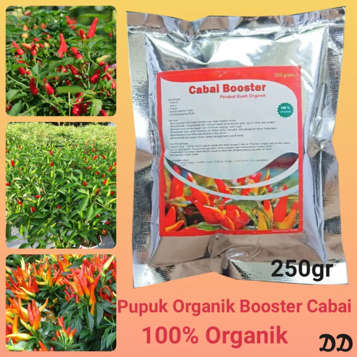Pupuk Booster Cabai Rawit Merah Cabe Hijau Organik Agar Cepat Berbuah Lebat perangsang Khusus ...
