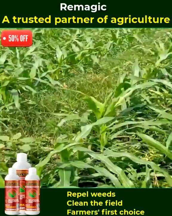 RedMagic - The Ultimate Organic Herbicide ( GrassKiller ) from Castor ...