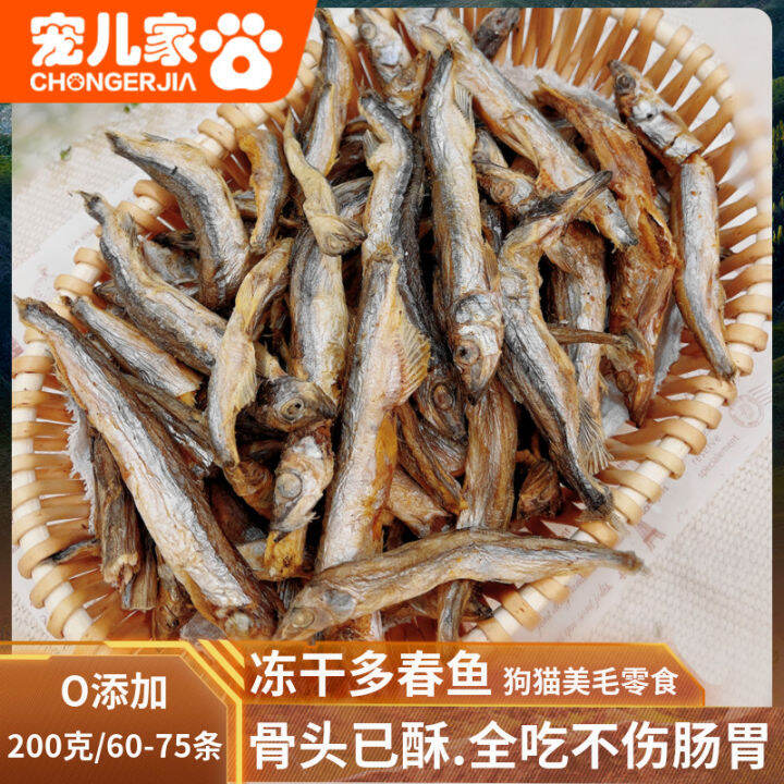Homemade Freeze-Dried Crispy Spring Fish High Protein British Shorthair ...