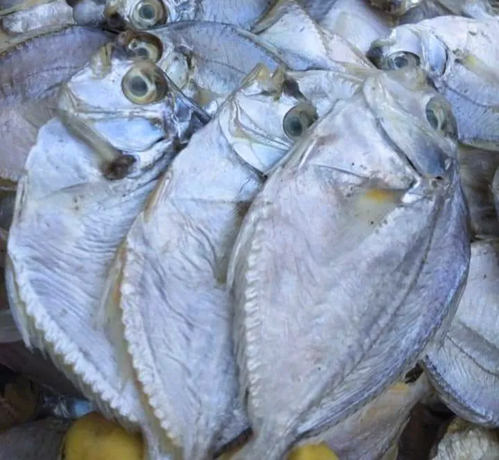 Dried Sapsap ½kl. Fresh from Masbate | Lazada PH