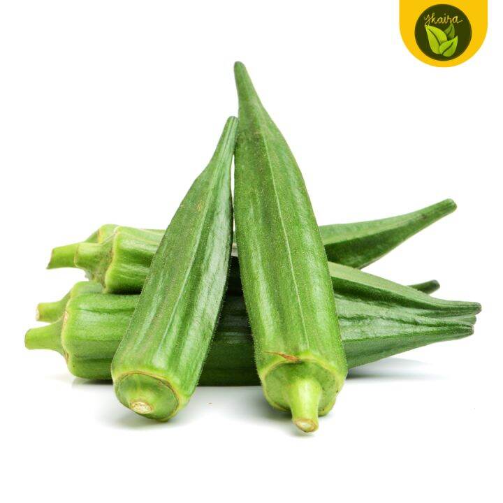 okra binhi pantanim 1 kilo seeds for planting | Lazada PH