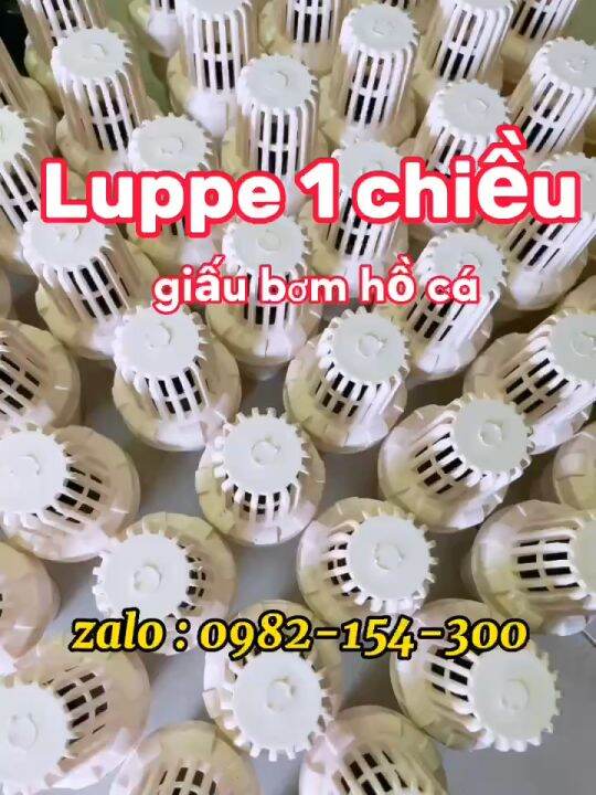 luppe một chiều - luppe 1 chiều - rọ bơm - van một chiều - van 1 chiêu ...