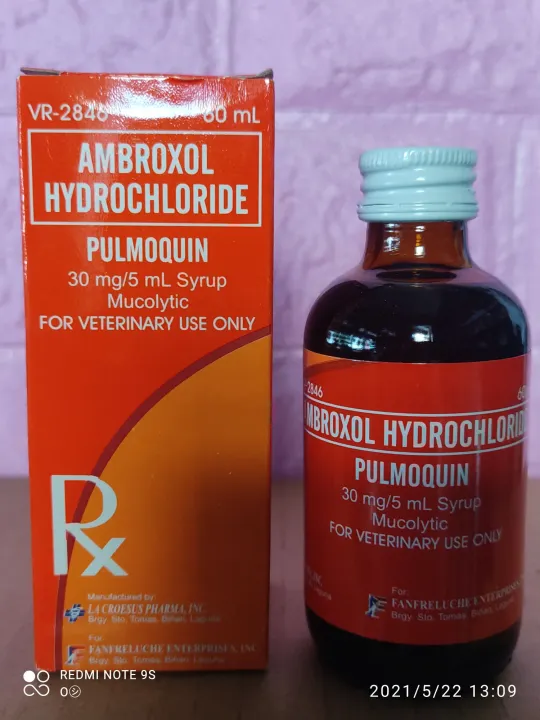 PULMOQUIN mucolytic(60ml) Ambroxol/hydrochloride | Lazada PH