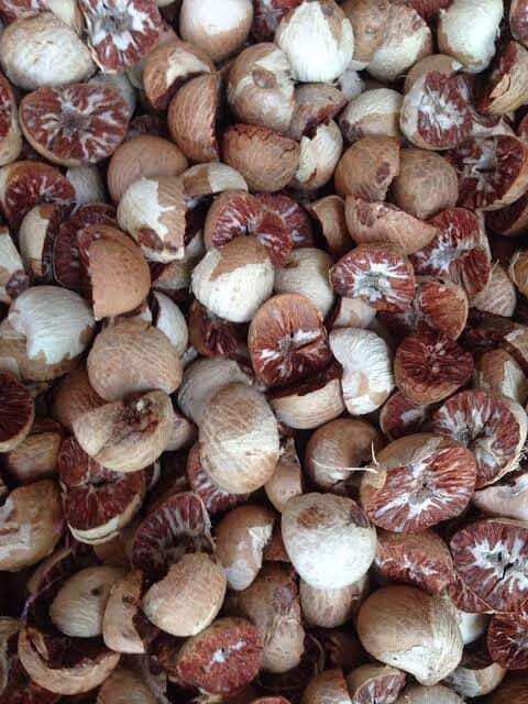 Pinang kering 1 kg | Lazada Indonesia