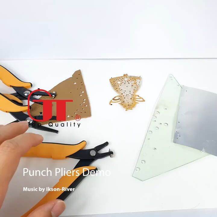 2mm Chicks Toe Puncher Metal Hole Punch Pliers Poultry Wingband Plier ...